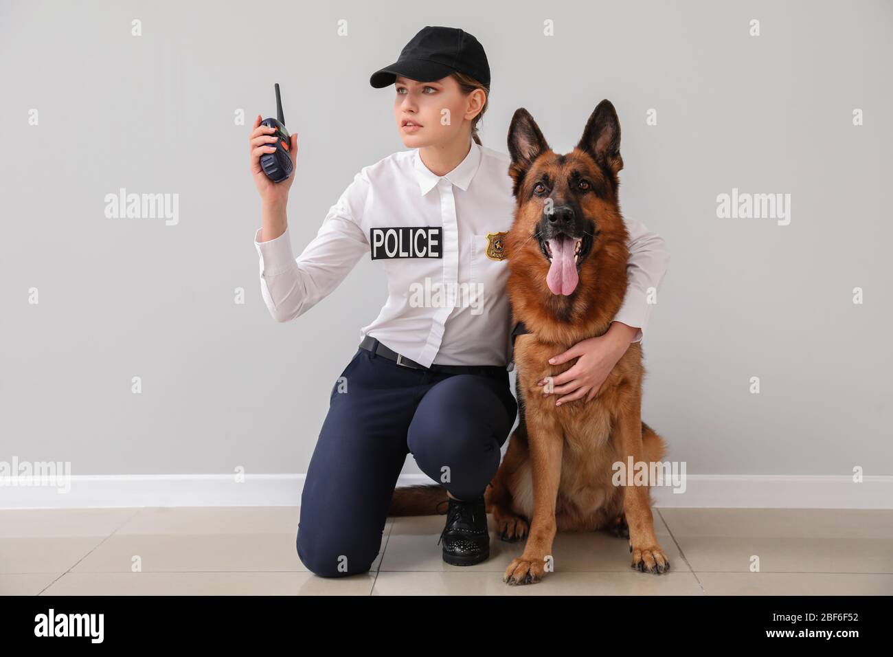 Female police officer with dog near light wall Stock Photo - Alamy