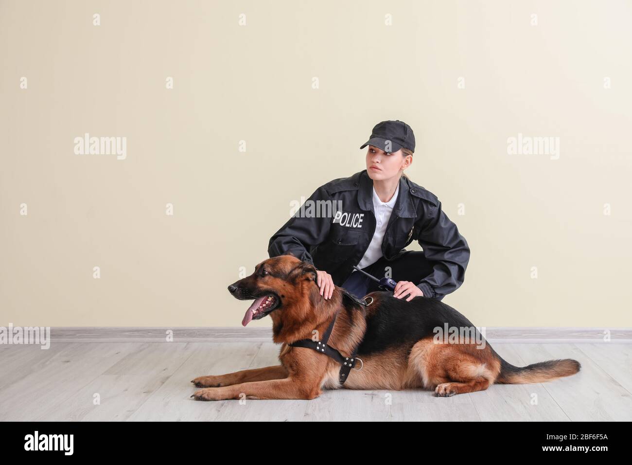 Female police officer with dog near light wall Stock Photo - Alamy