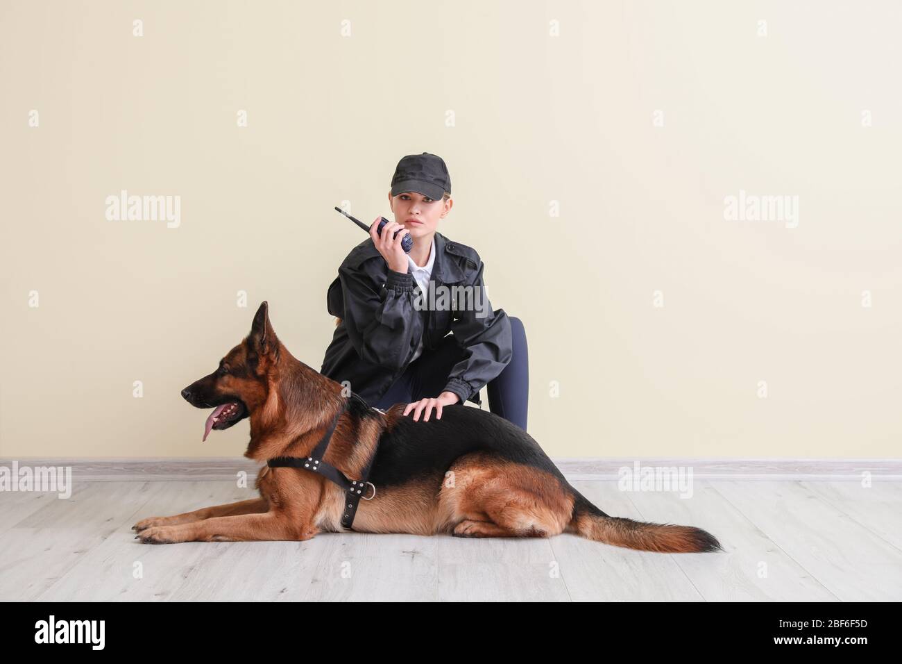 Female police officer with dog near light wall Stock Photo - Alamy