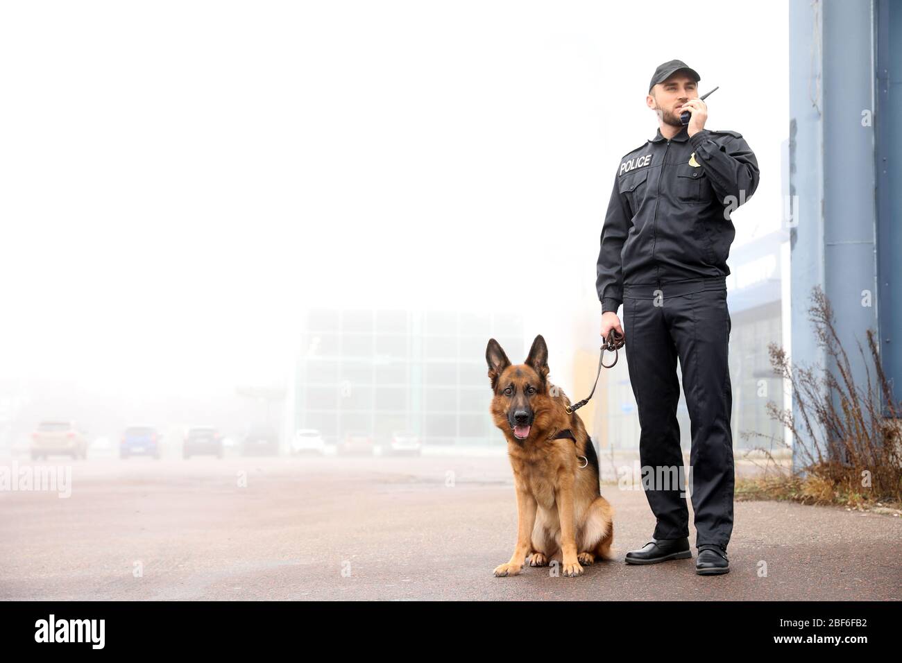 Male police officer with dog patrolling city street Stock Photo - Alamy