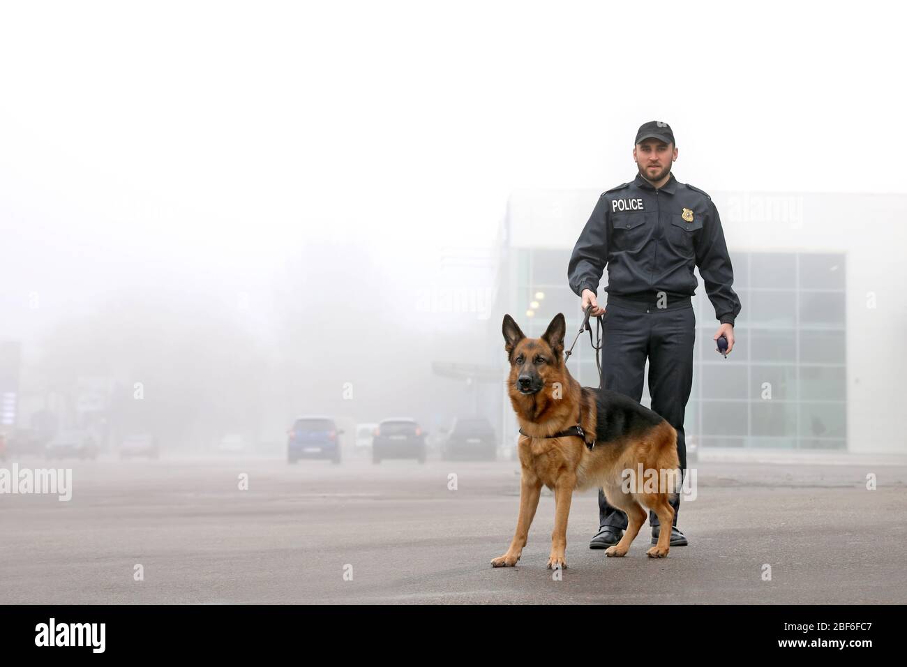 Male police officer with dog patrolling city street Stock Photo - Alamy