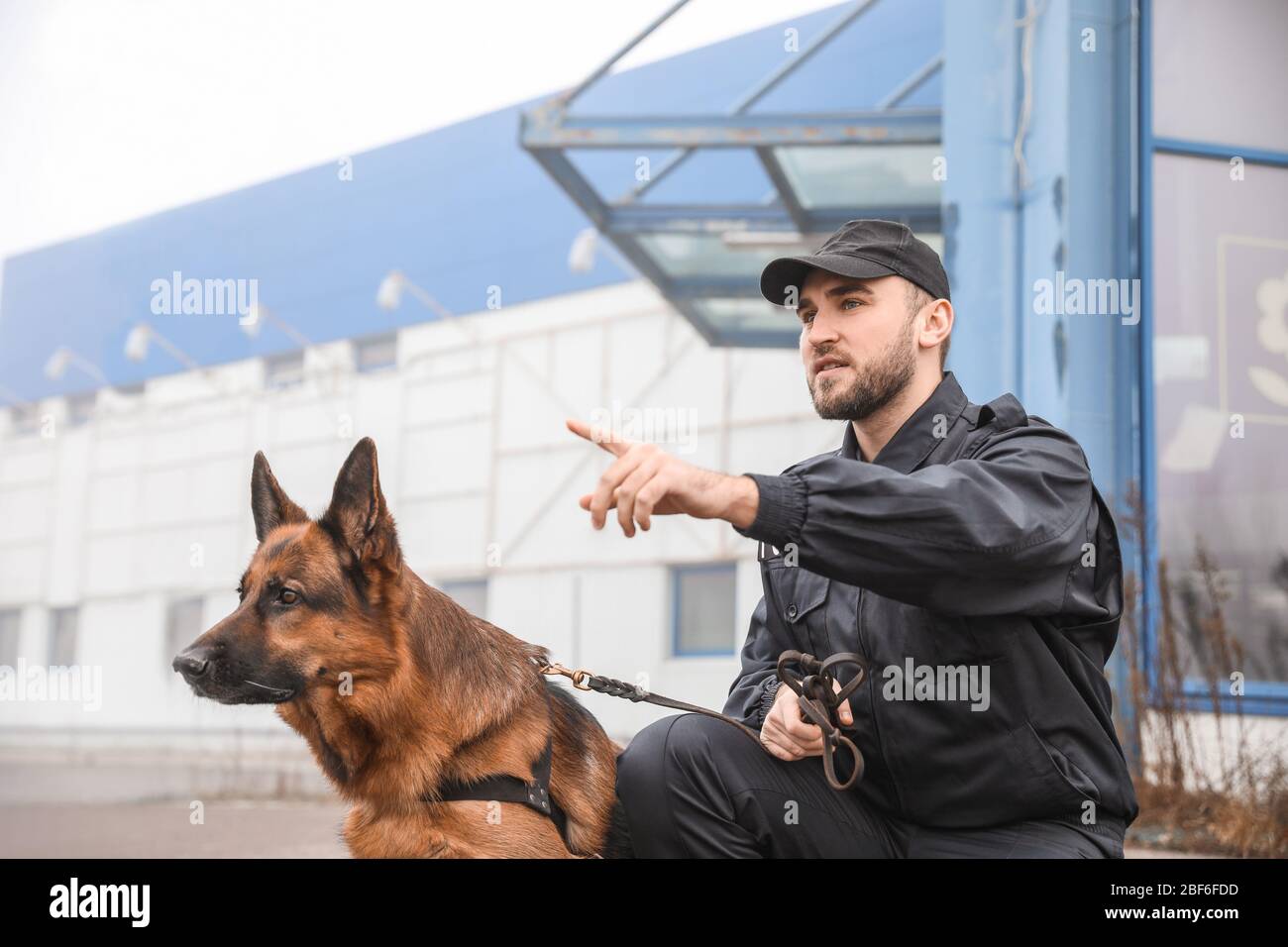 Male police officer with dog patrolling city street Stock Photo - Alamy