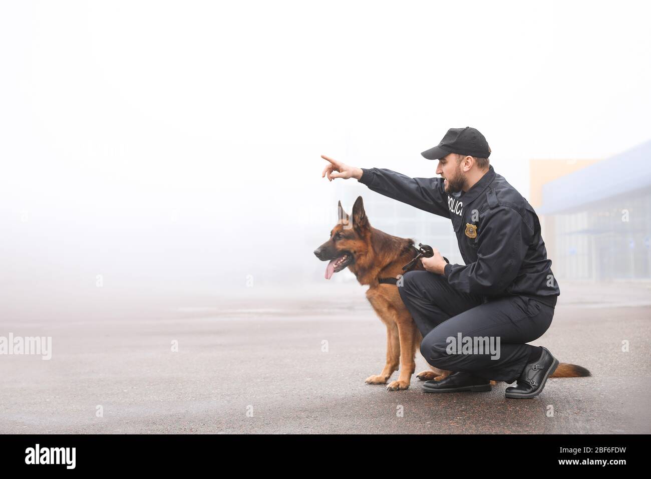 Male police officer with dog patrolling city street Stock Photo - Alamy