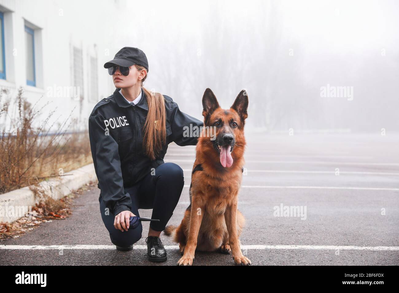 Female police officer with dog patrolling city street Stock Photo - Alamy