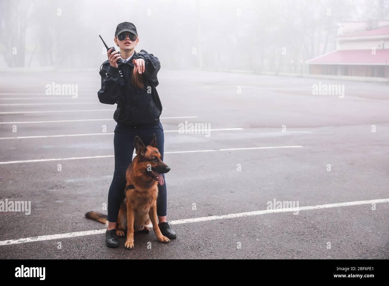 Female police officer with dog patrolling city street Stock Photo - Alamy