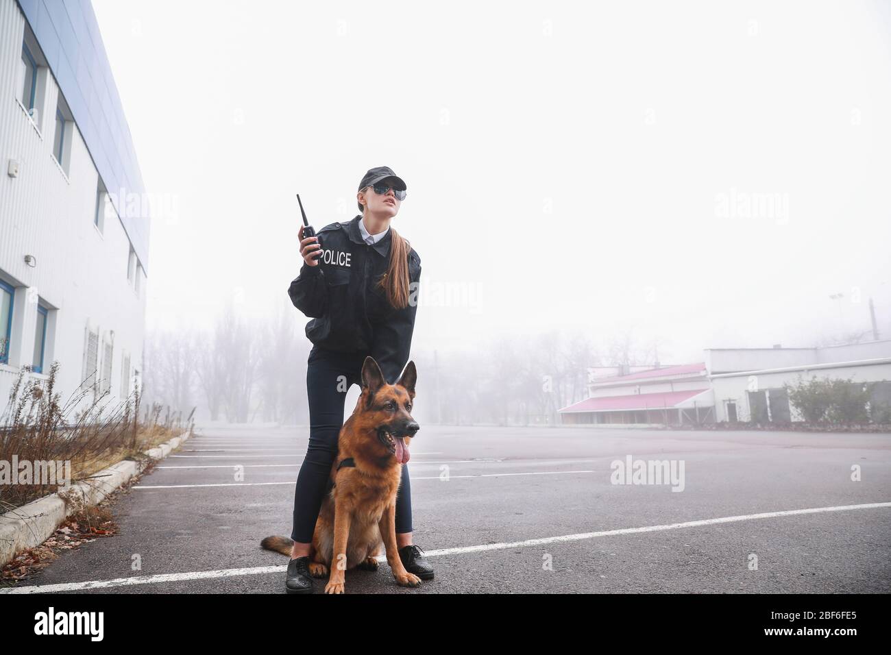 Female police officer with dog patrolling city street Stock Photo - Alamy