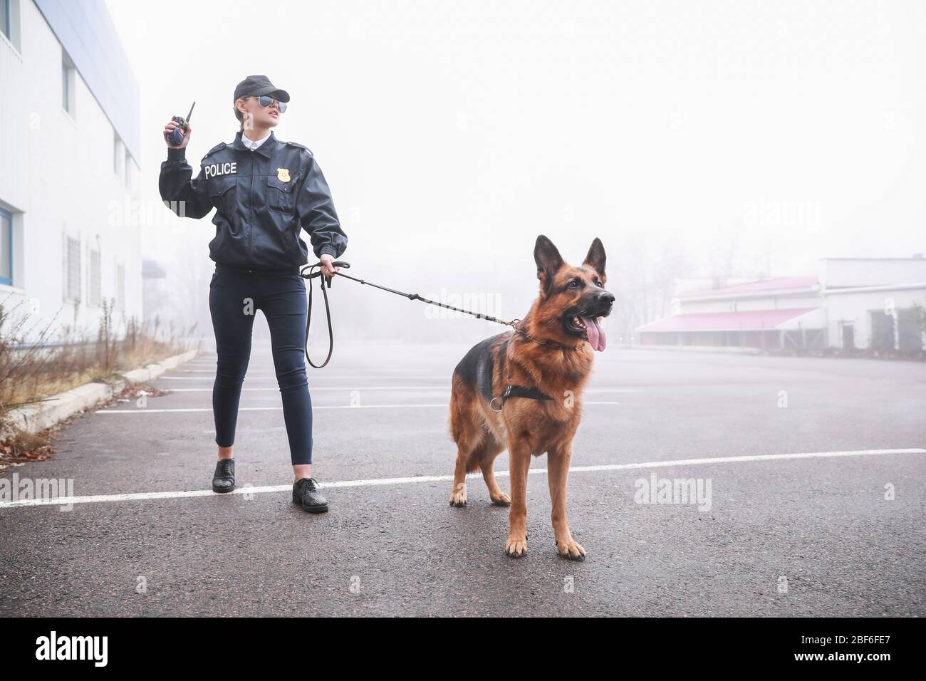 Female police officer with dog patrolling city street Stock Photo - Alamy