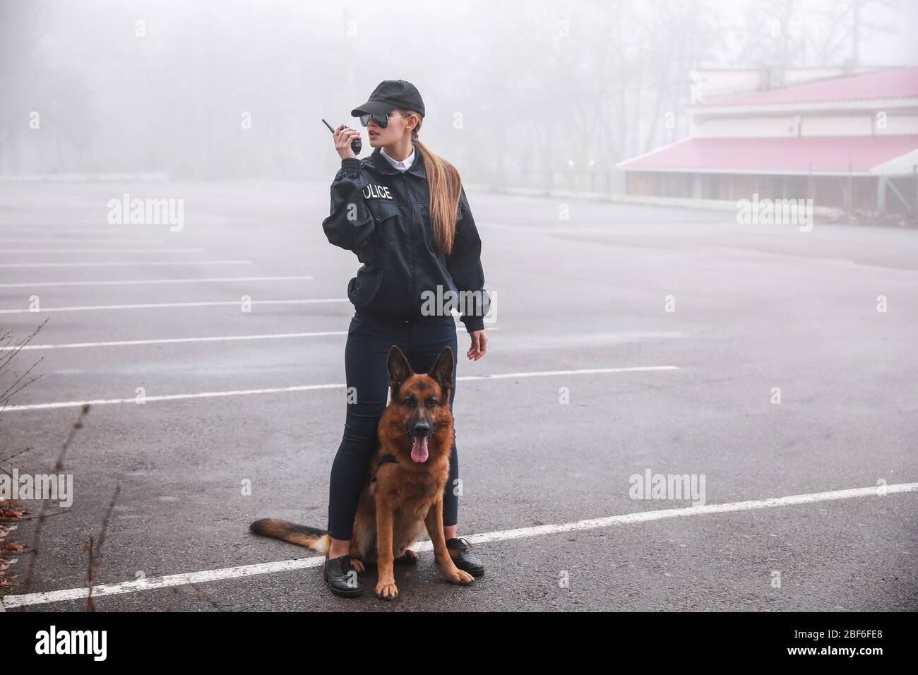 Female police officer with dog patrolling city street Stock Photo - Alamy