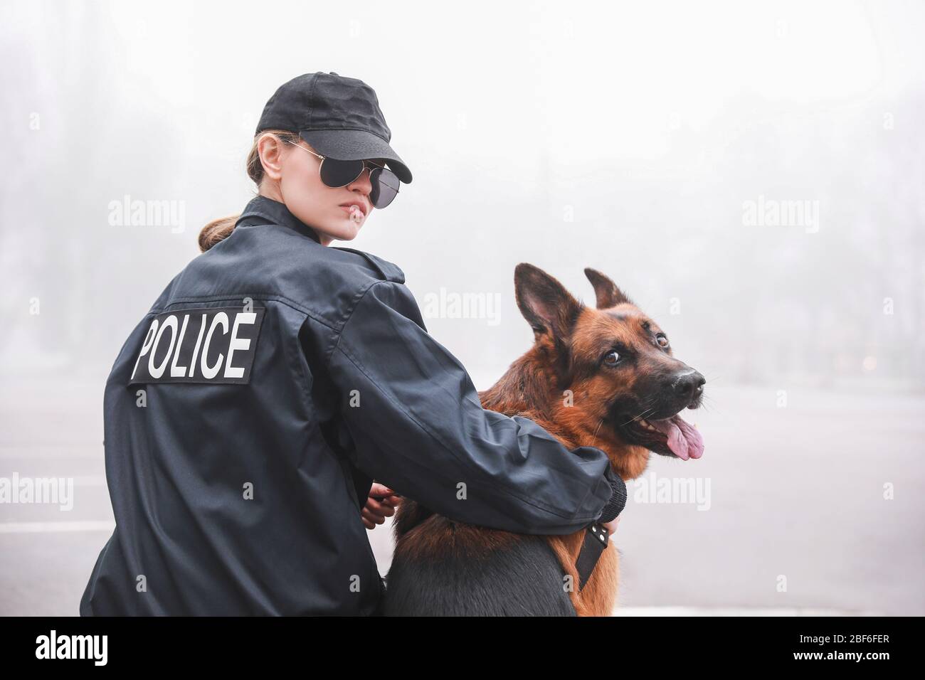 Female police officer with dog patrolling city street Stock Photo - Alamy