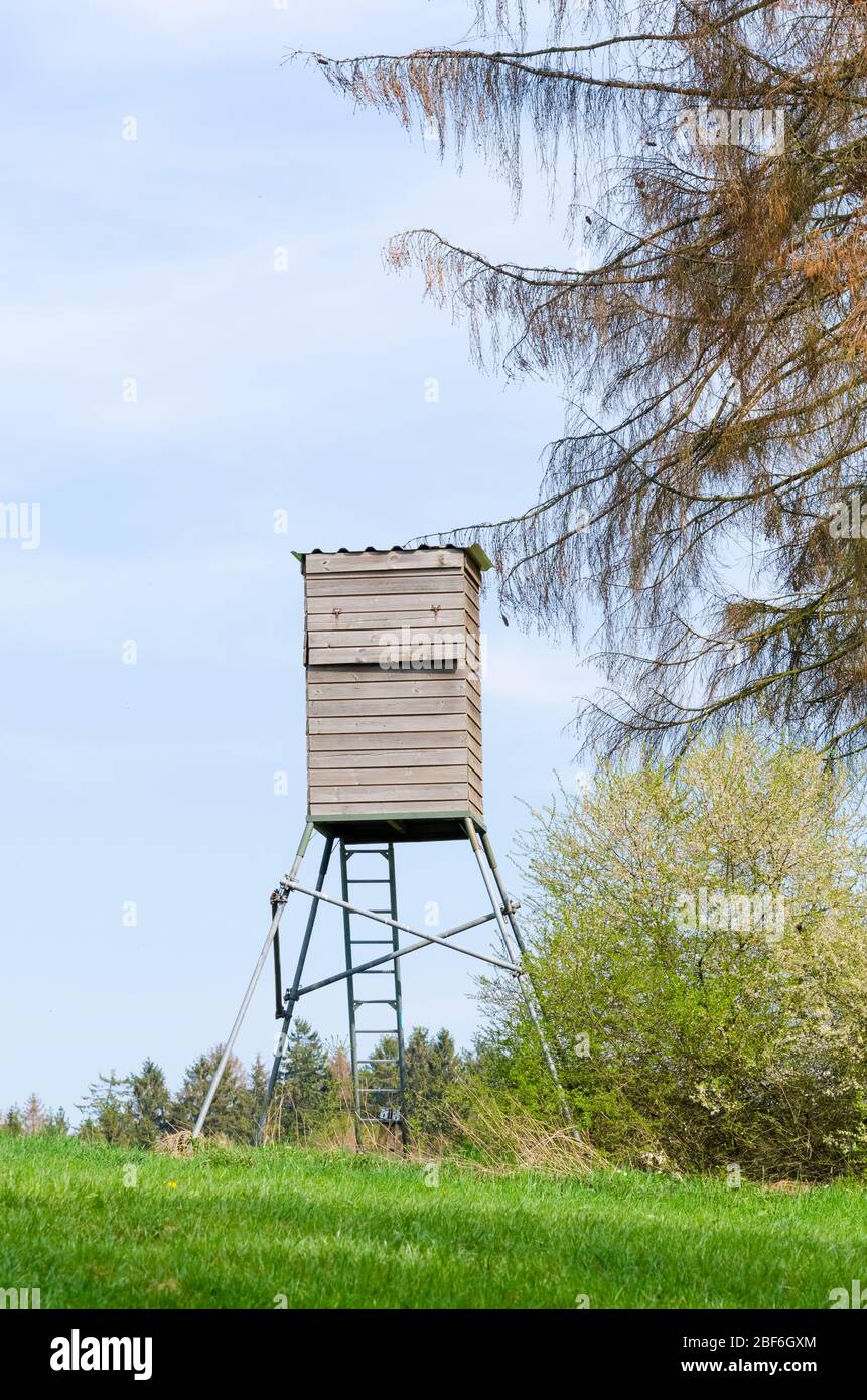 Wooden raised hide for hunting and observation of wildlife near a ...