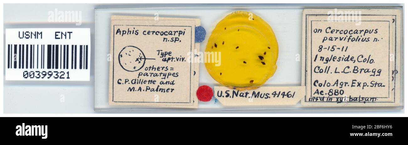 Botanical control Cut Out Stock Images & Pictures - Alamy