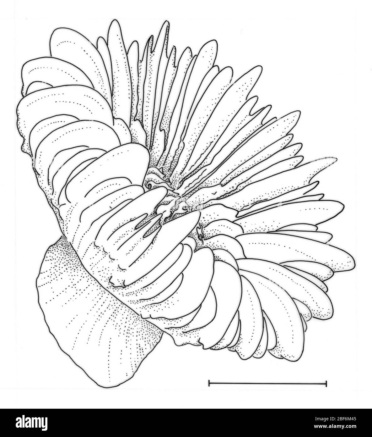 1990 artwork Black and White Stock Photos & Images - Alamy