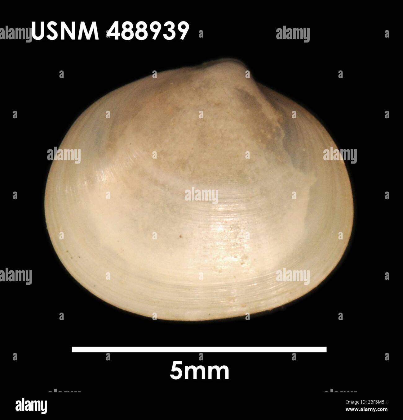 1948 d hi-res stock photography and images - Alamy