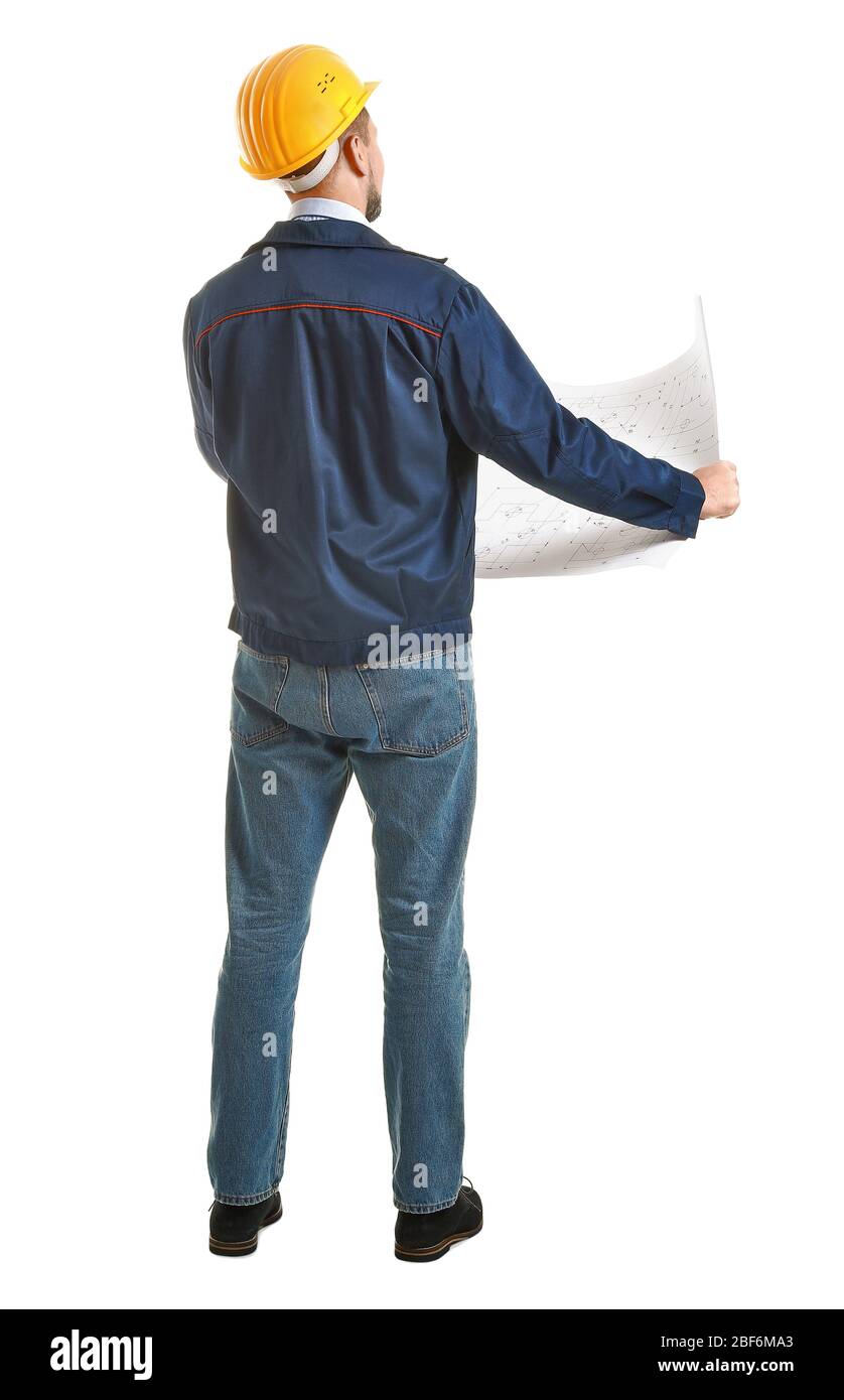 Male engineer with drawing on white background, back view Stock Photo ...