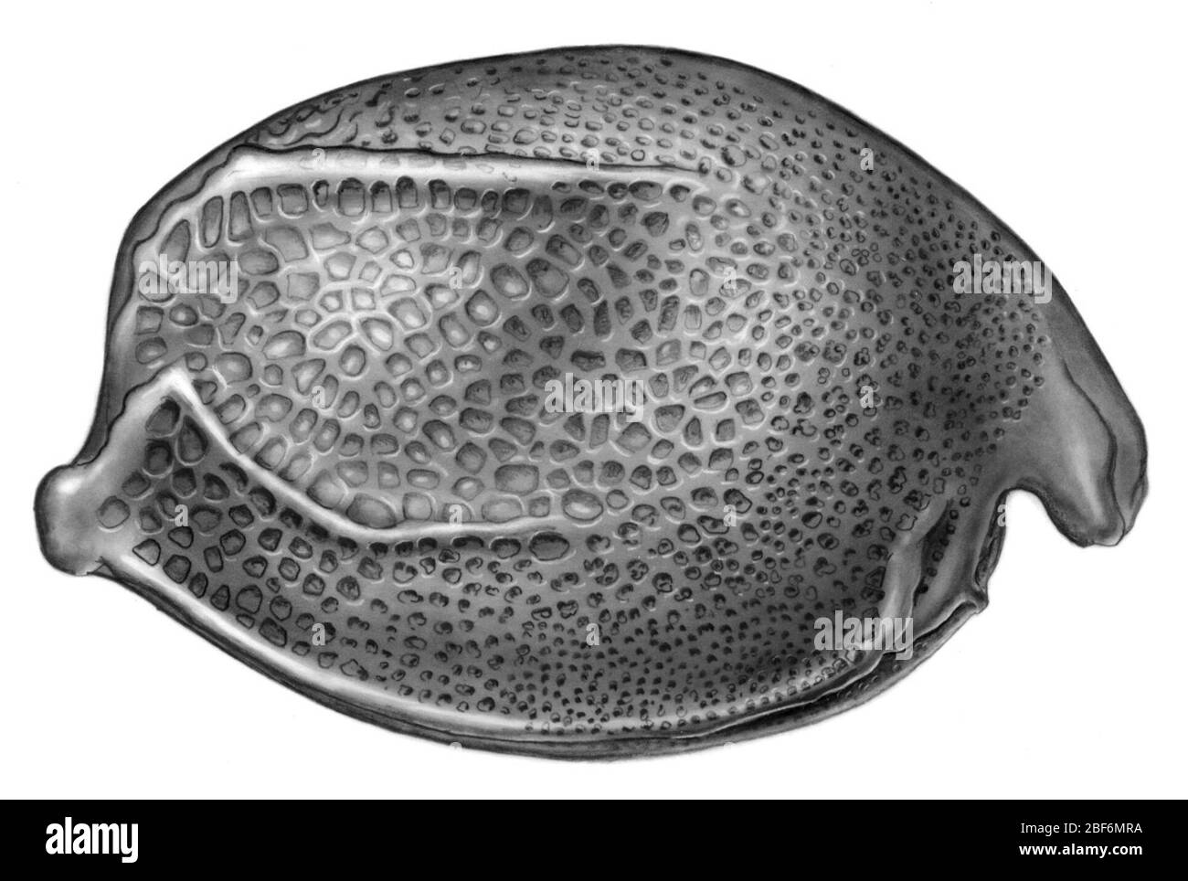 24 nov hi-res stock photography and images - Alamy