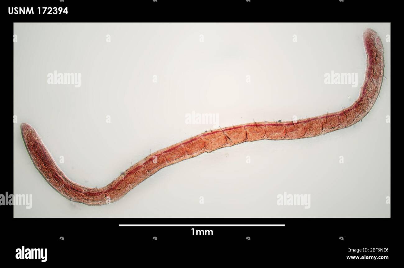 Grania hi-res stock photography and images - Alamy