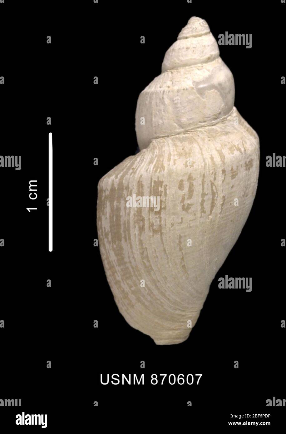 Centroid hi-res stock photography and images - Alamy