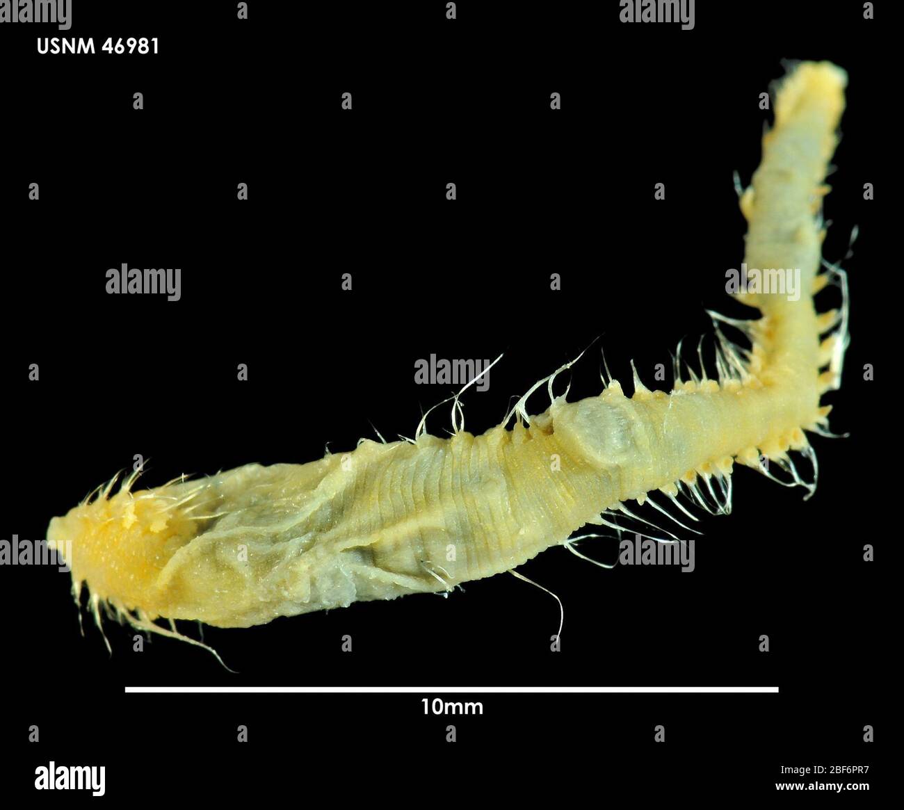 Inflatum hi-res stock photography and images - Alamy