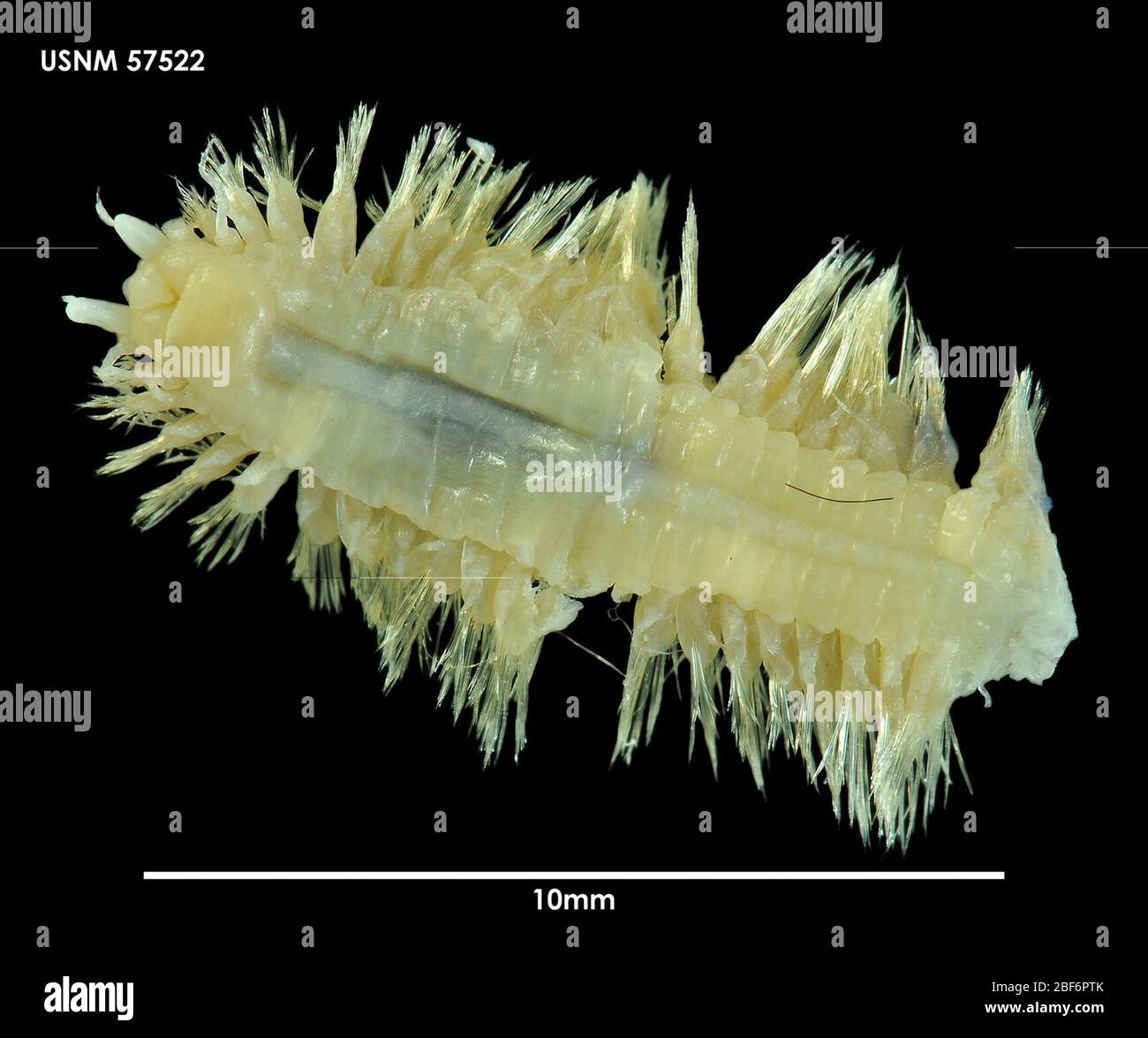 The eunoe hi-res stock photography and images - Alamy