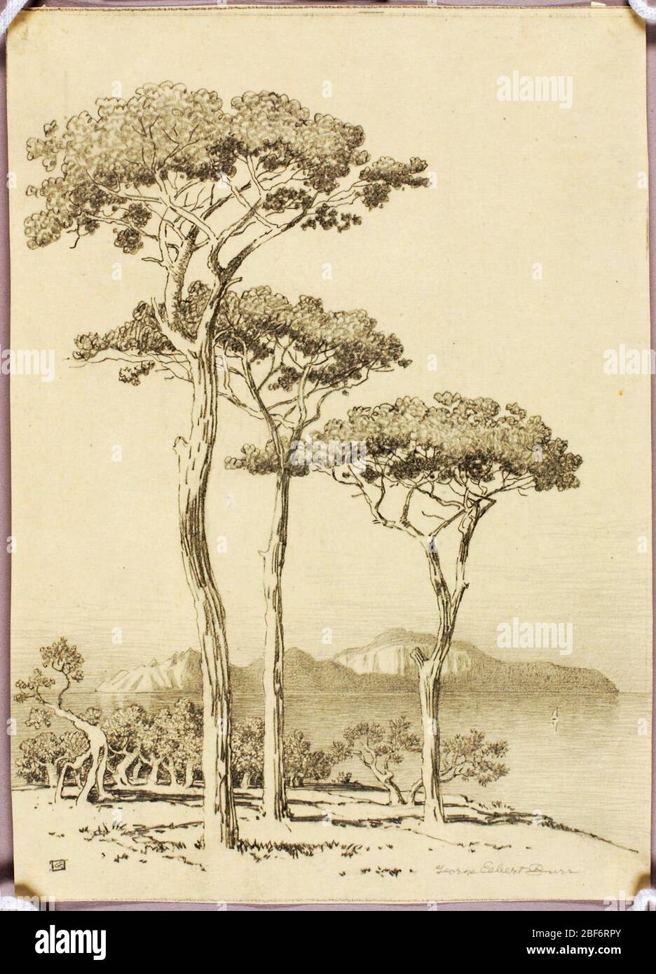 Untitled transfer drawing for Capri from Sorrento Stock Photo - Alamy