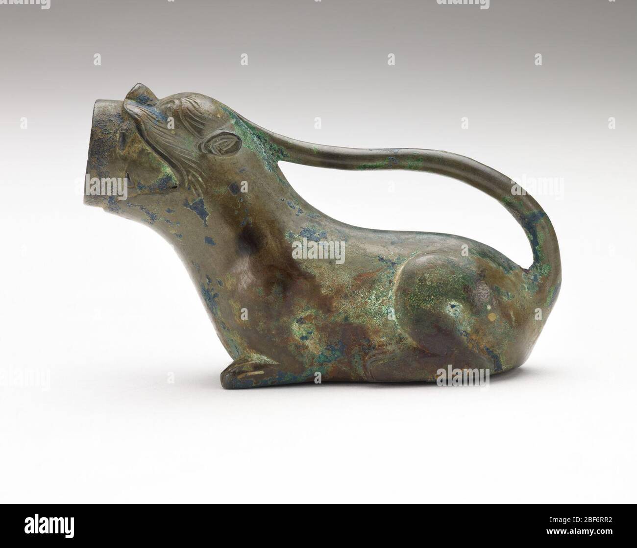 Form of an animal hi-res stock photography and images - Alamy