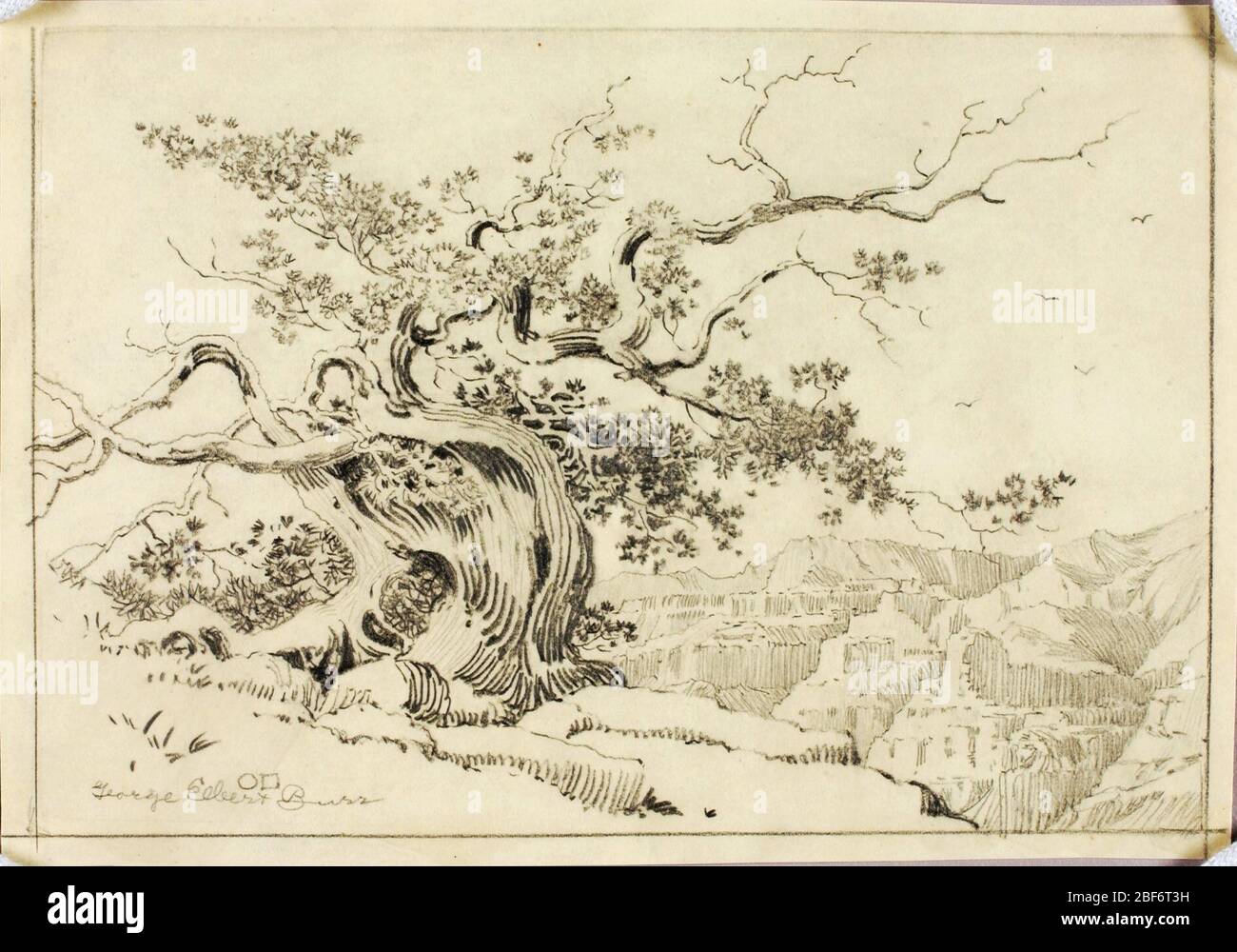 Untitled transfer drawing for Evening Apache Trail Arizona Stock Photo ...