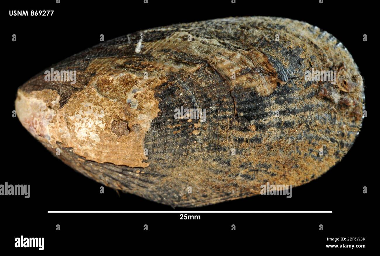 54 2110 hi-res stock photography and images - Alamy