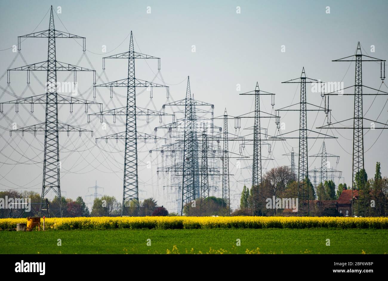 Extra-high voltage lines, 380 KV, power line, the electricity comes ...