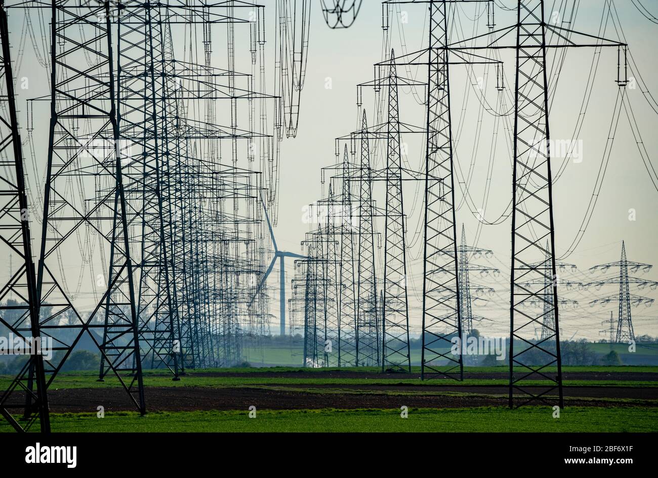 Extra-high voltage lines, 380 KV, power line, the electricity comes ...