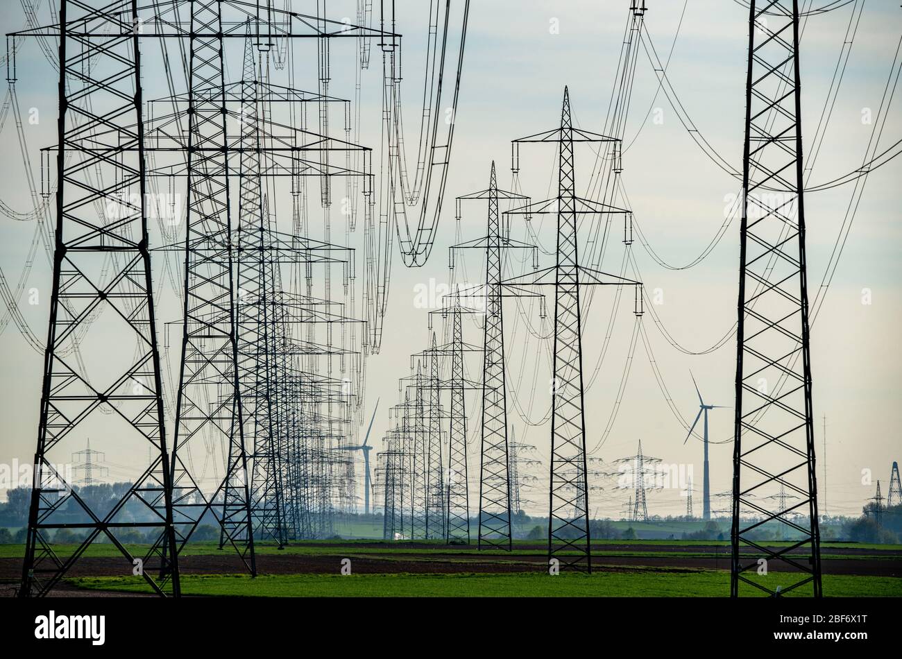 Extra-high voltage lines, 380 KV, power line, the electricity comes ...