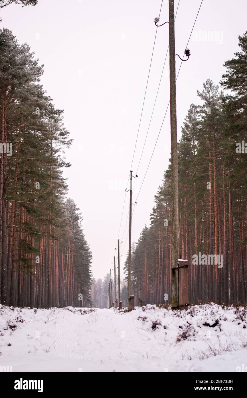 Wood telephone poles hi-res stock photography and images - Alamy