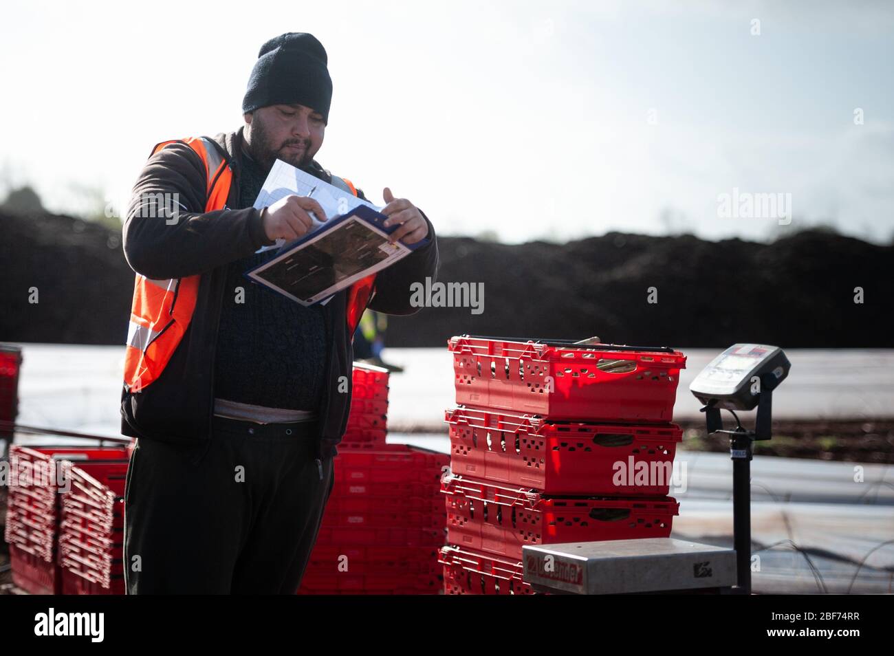 Sandfields Farm, near Harvington, Worcestershire, UK. 6th April 2020 ...