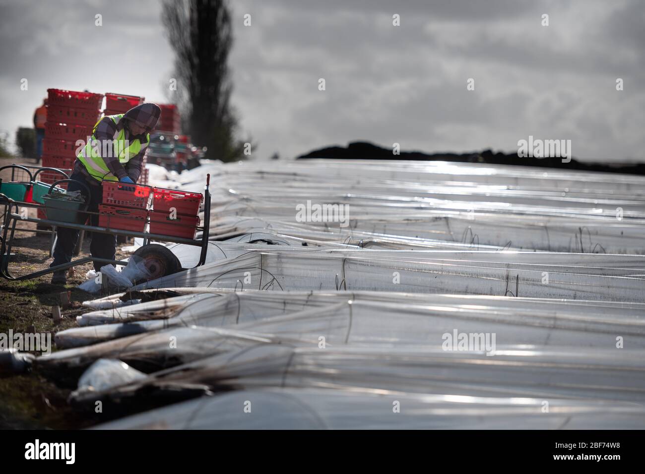 Sandfields Farm, near Harvington, Worcestershire, UK. 6th April 2020 ...
