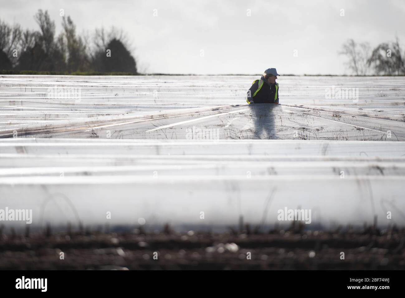 Of sandfields hi-res stock photography and images - Alamy