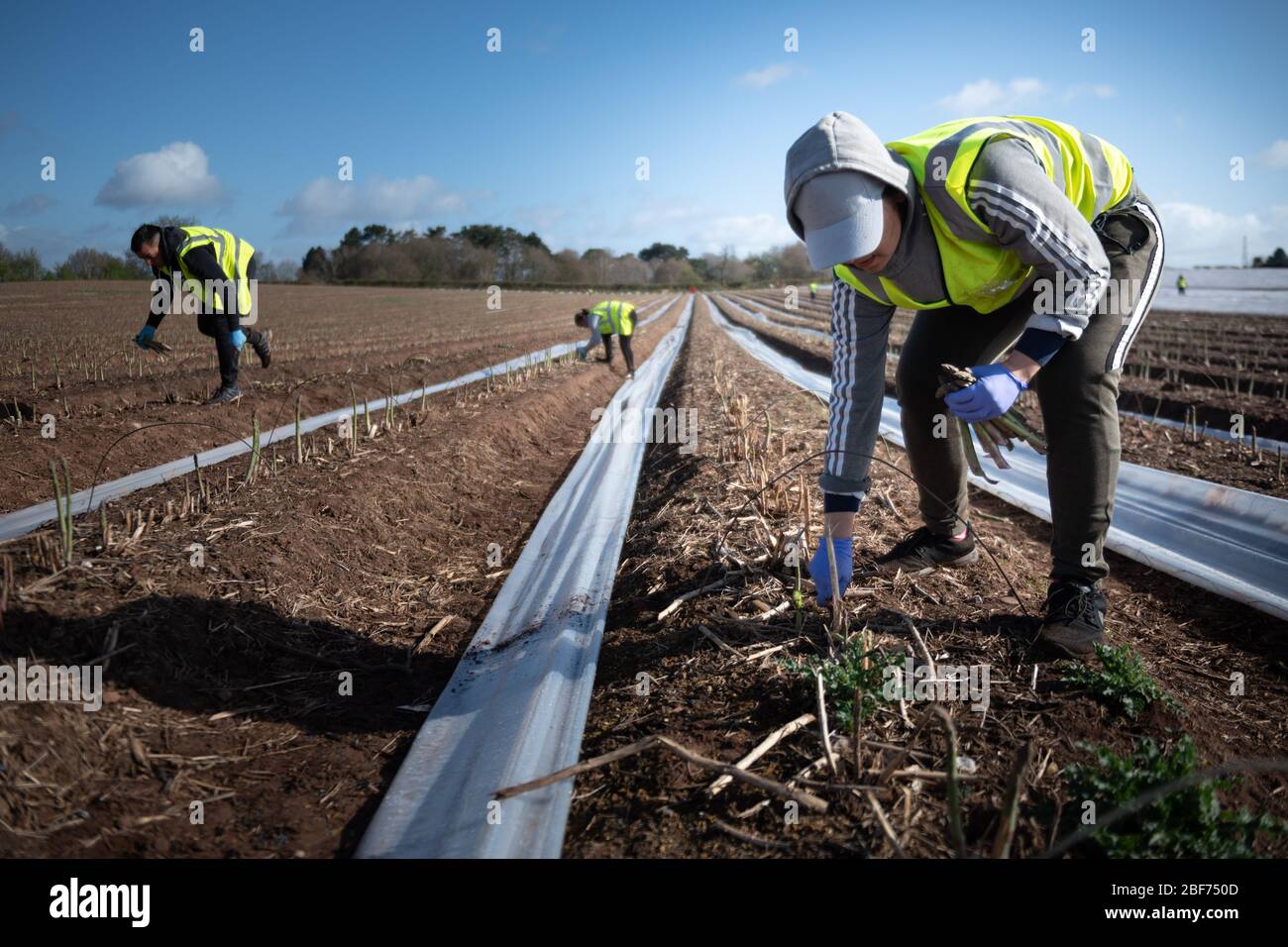 Migrant workers hi-res stock photography and images - Alamy