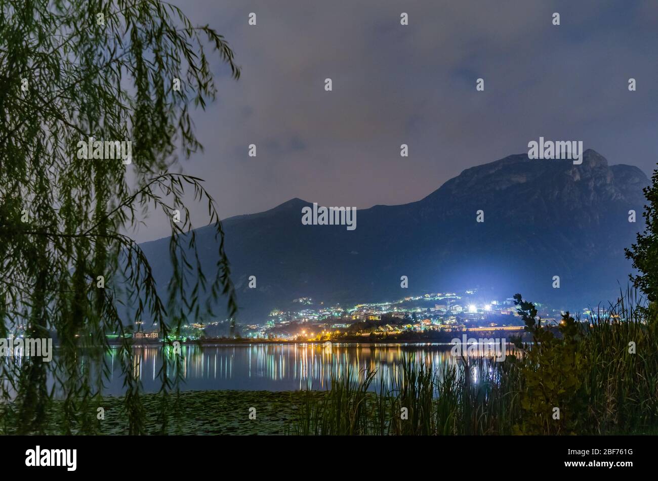 Weeping willow at night Stock Photo - Alamy