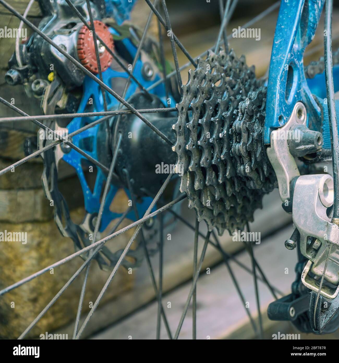View of the mechanism of the rear wheel of the Bicycle. Bicycle ...
