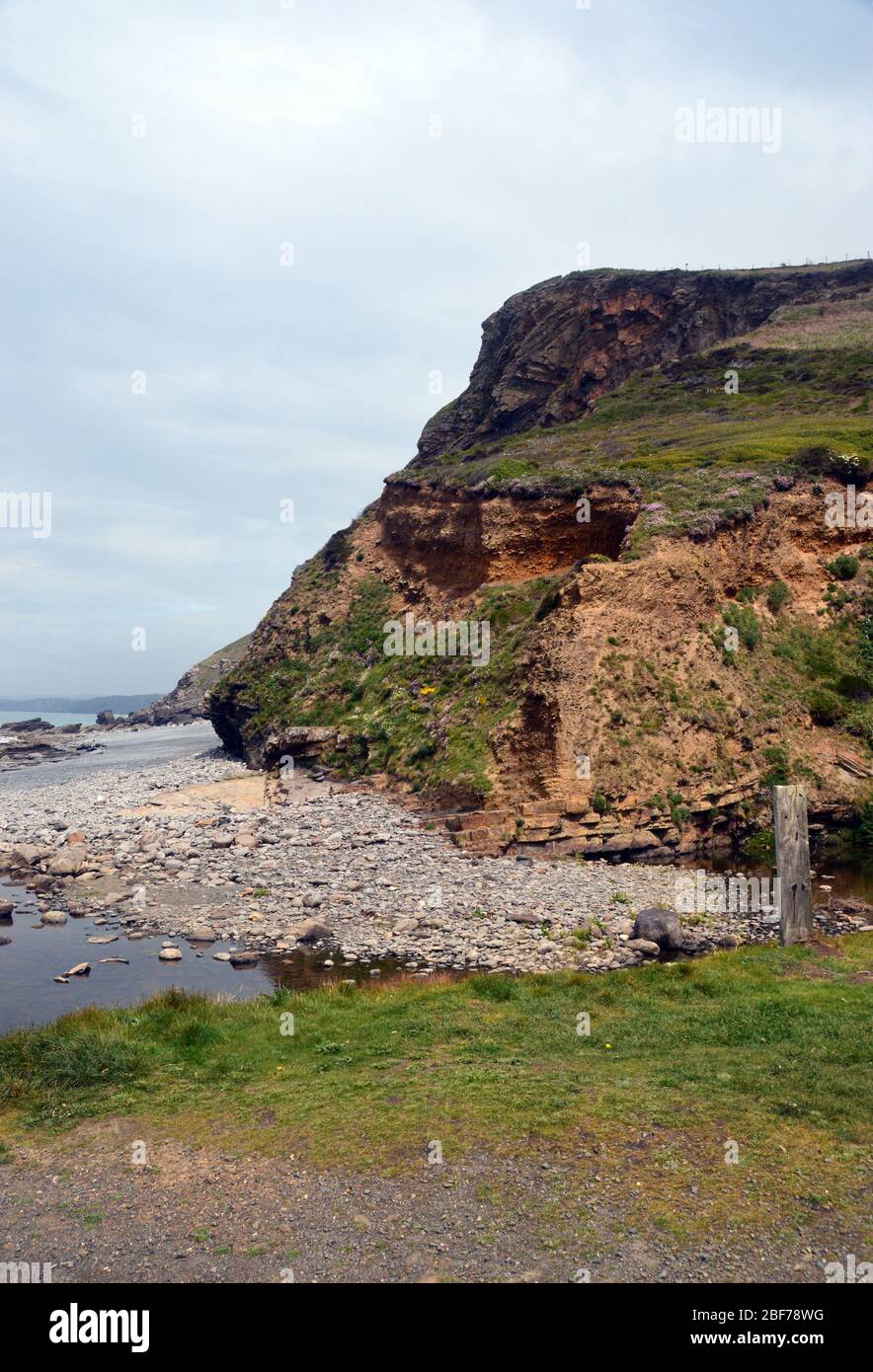 Bridwill Point Cliffs and the Pebble Beach at Millook Haven on the ...