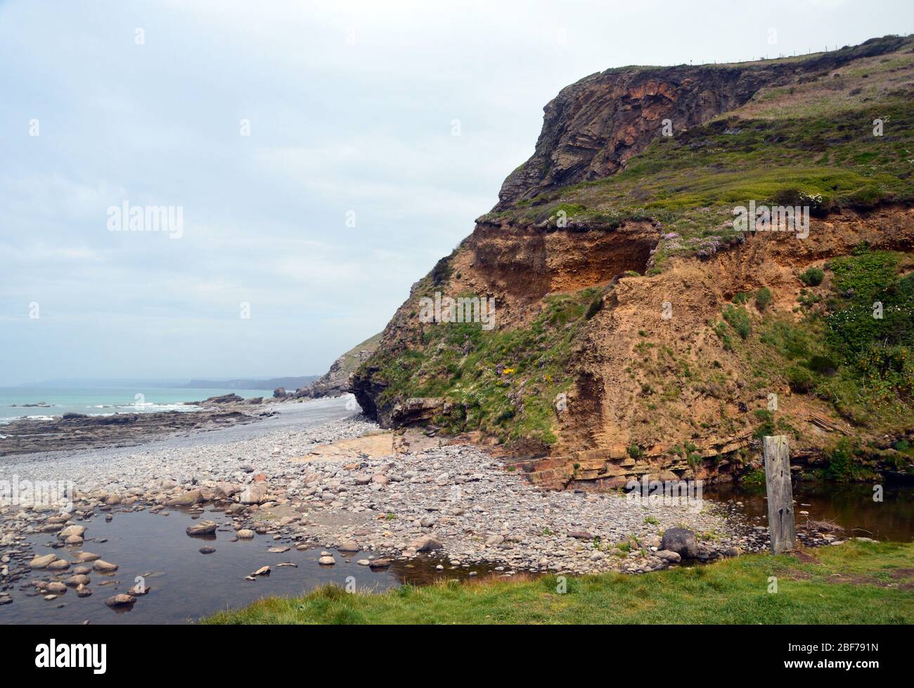 Bridwill Point Cliffs and the Pebble Beach at Millook Haven on the ...