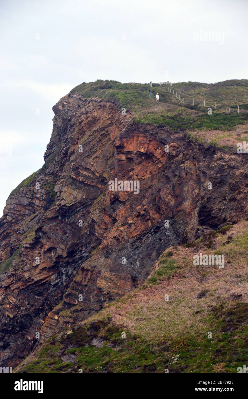 Hikers Walking on Bridwill Point above Millook Haven on the South West ...