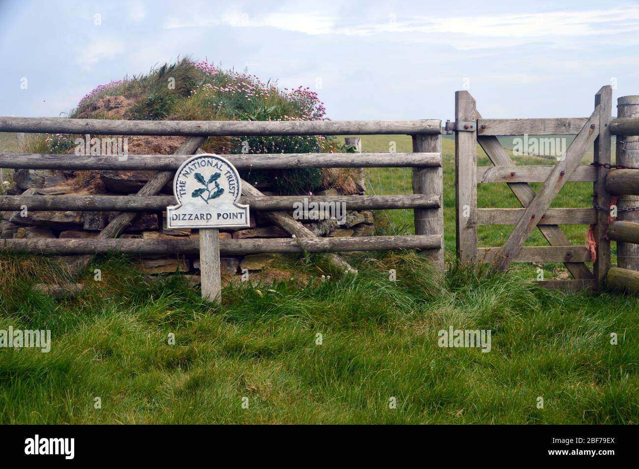 Dizzard wood hi-res stock photography and images - Alamy