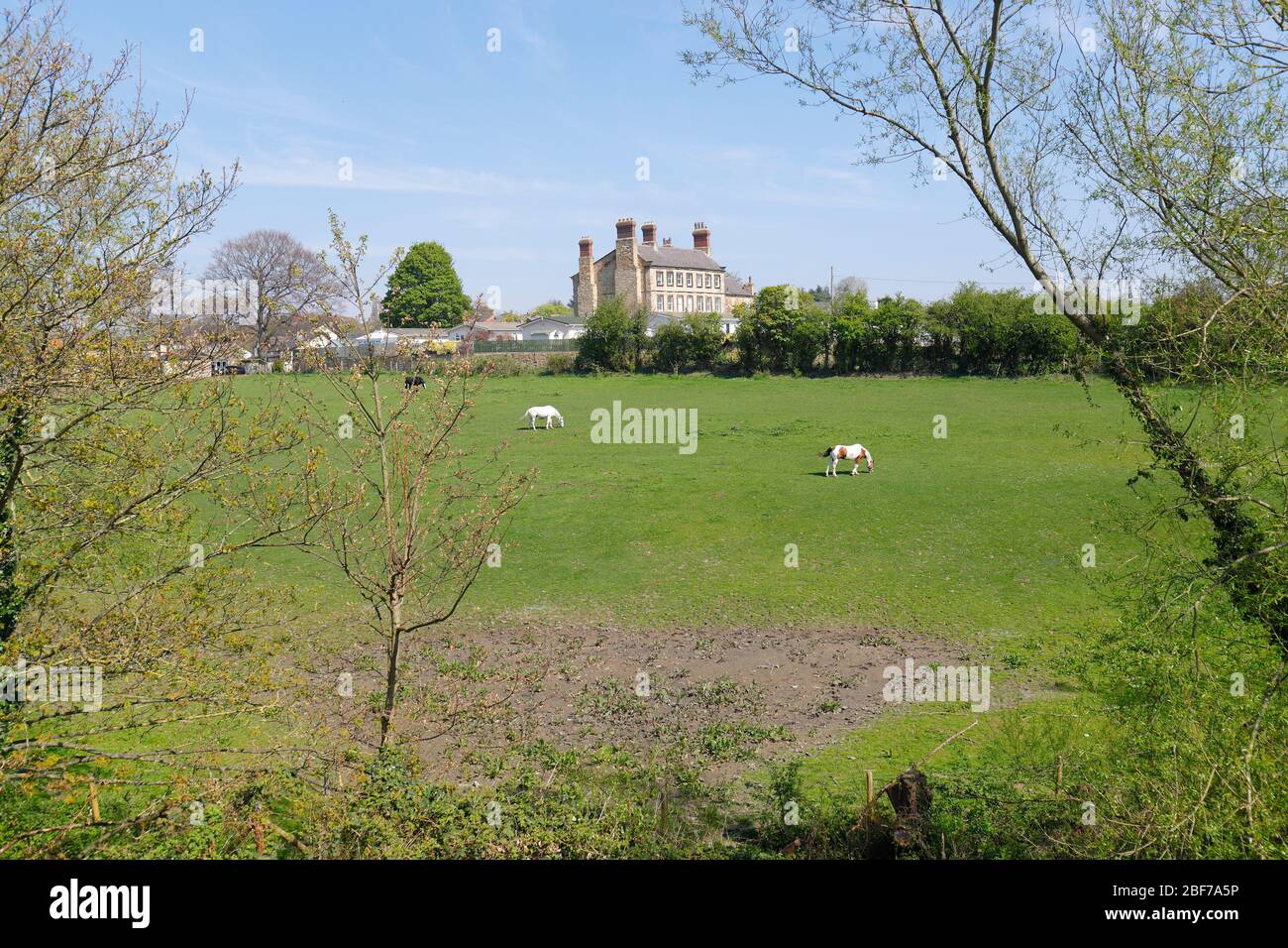 Little Preston Hall residential park and a horse field in Swillington ...