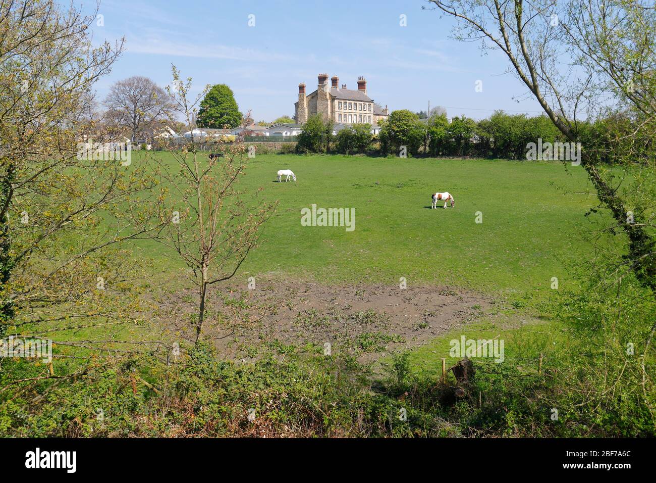 Little Preston Hall residential park and a horse field in Swillington ...