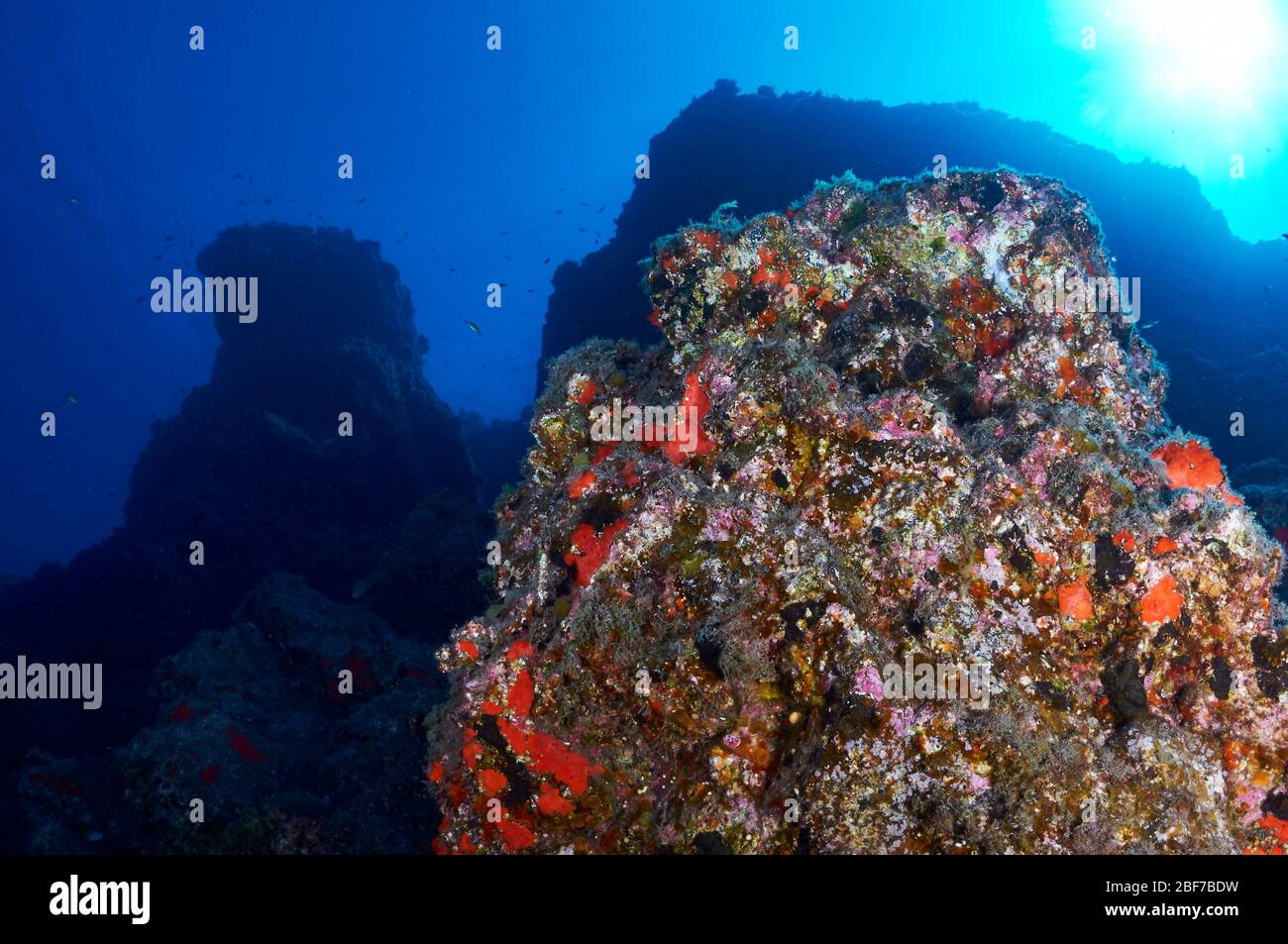 Seamount underwater hi-res stock photography and images - Alamy