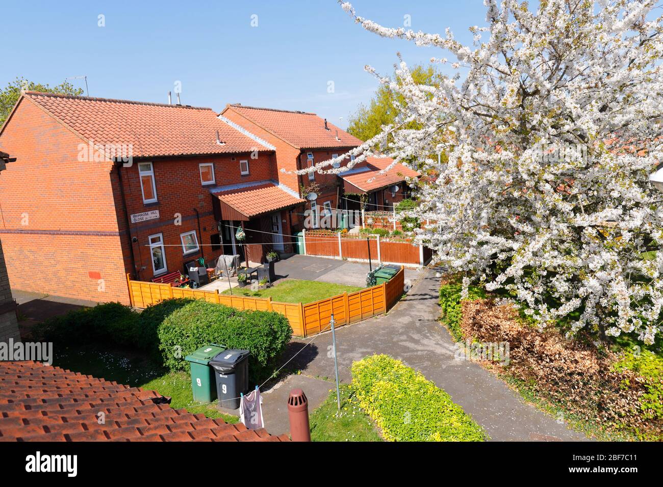 Primrose Hill Garth in Swillington,Leeds West Yorkshire Stock Photo - Alamy
