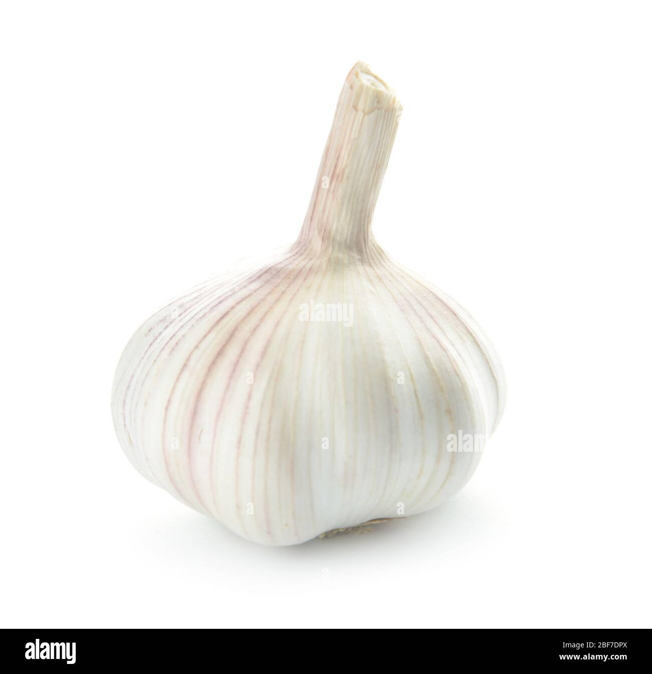 Fresh garlic on white background Stock Photo - Alamy