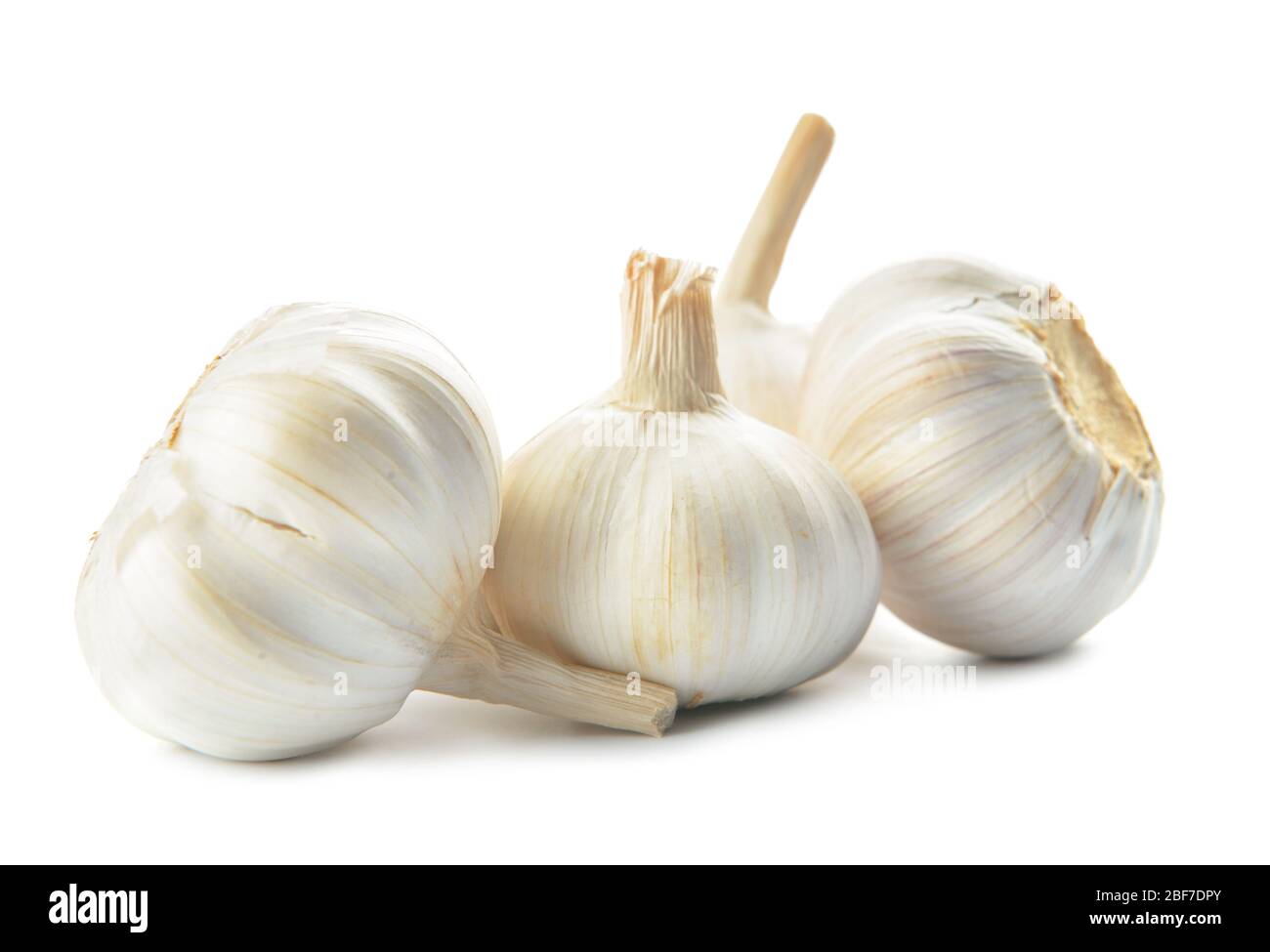 Fresh garlic on white background Stock Photo - Alamy