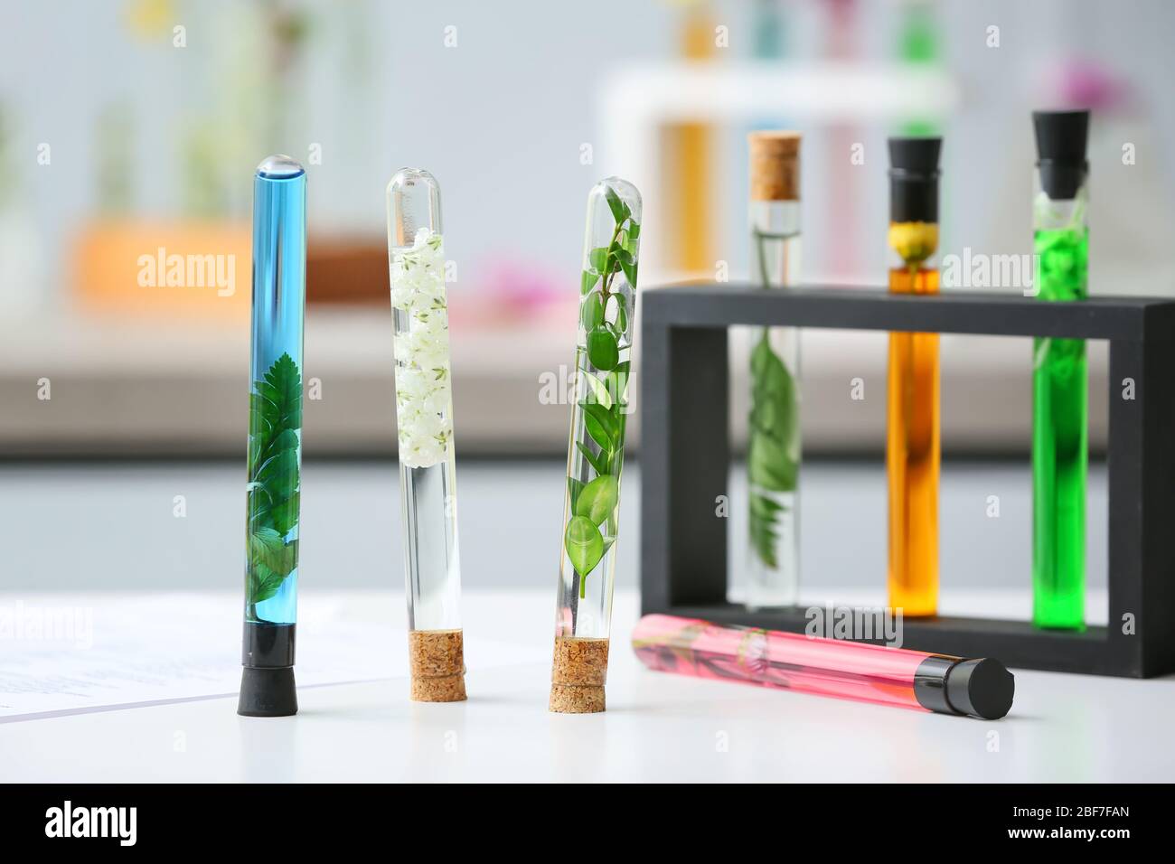 Smell test laboratory hi-res stock photography and images - Alamy