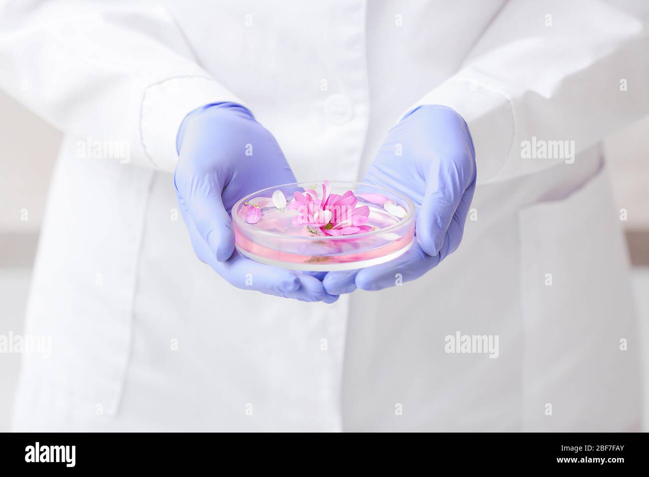 The flower sample hi-res stock photography and images - Alamy