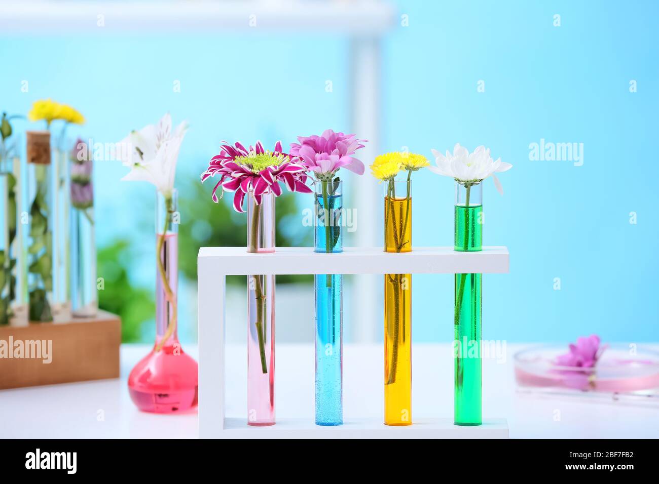 Test tubes with flowers on table in laboratory Stock Photo - Alamy